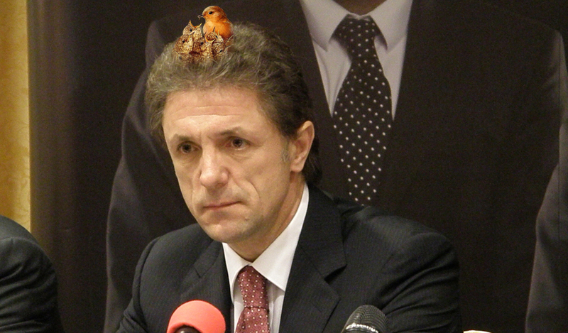 Sarbatoare! Pasarea care si-a facut cuib in parul lui Gica Popescu are ...